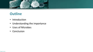 Microbiology in human welfare | PPTX