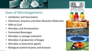 Microbiology in human welfare | PPTX
