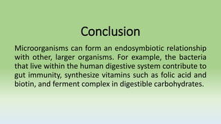 Microbiology in human welfare | PPTX
