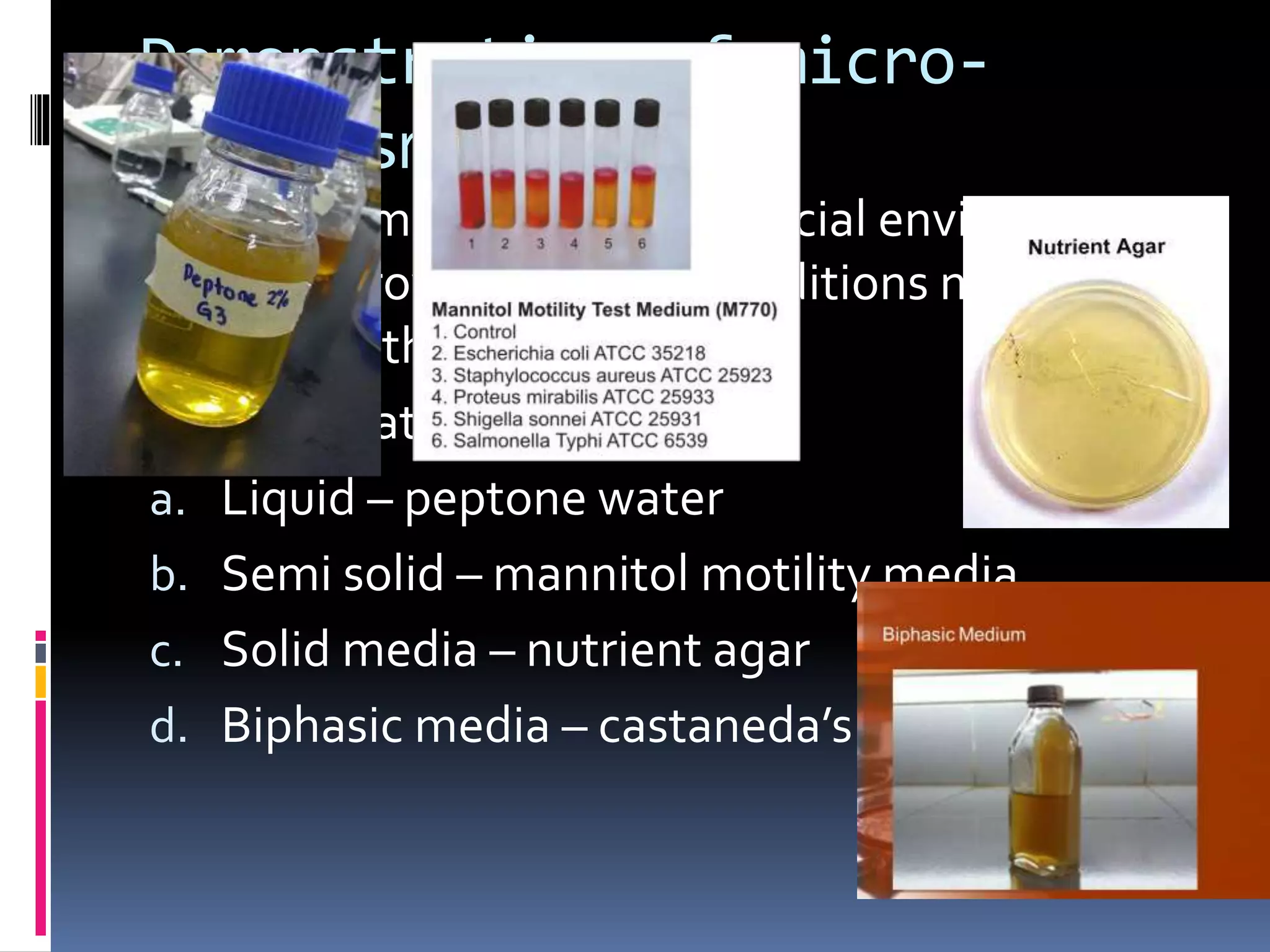 Microbiology in oral surgery | PPTX