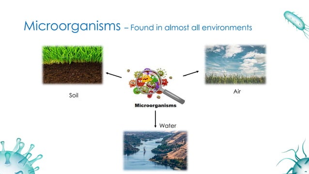Interpretation of Microbiological Water Analysis Results | PDF