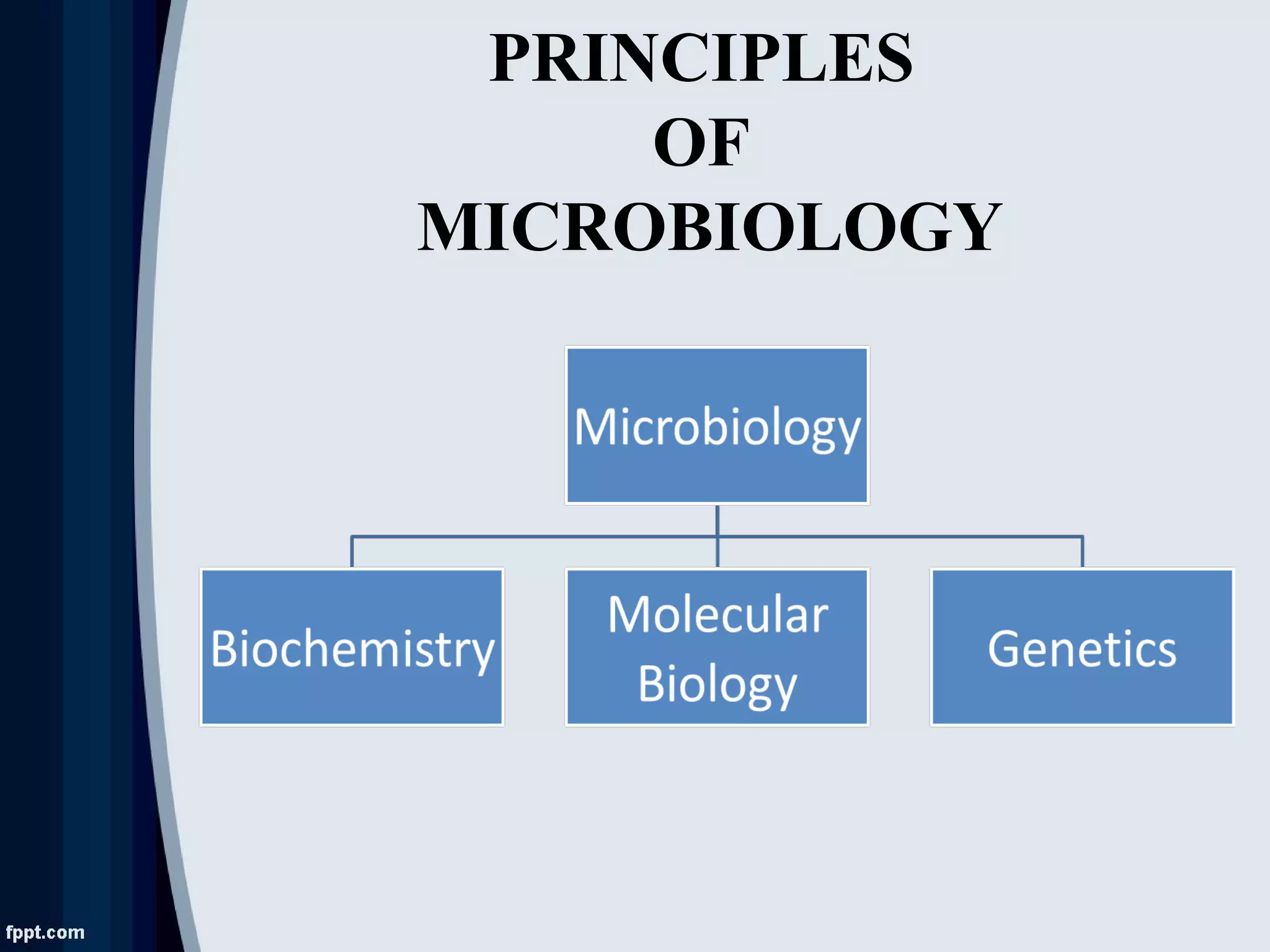 Microbiology Introduction For Nursing Students | PPT