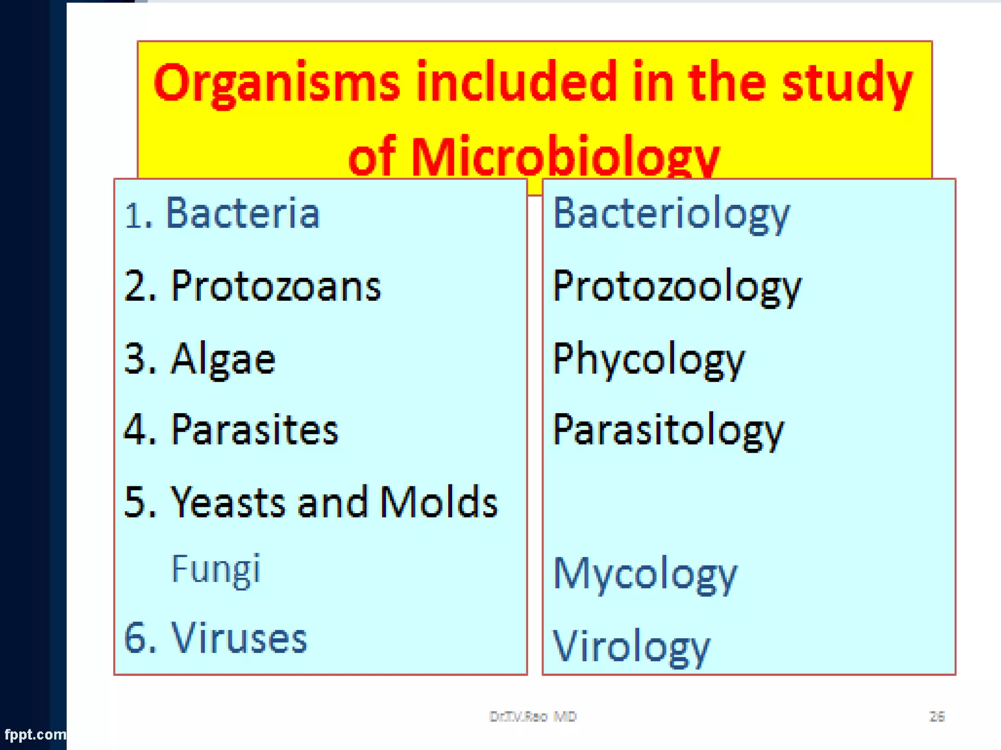 Microbiology Introduction For Nursing Students | PPT