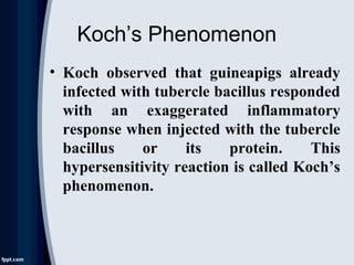 Microbiology Introduction For Nursing Students | PPT
