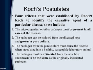 Microbiology Introduction For Nursing Students | PPT