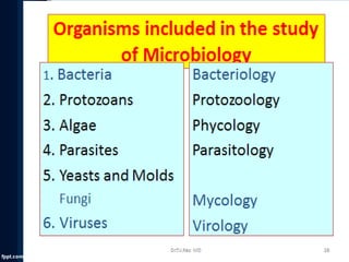 Microbiology Introduction For Nursing Students | PPT