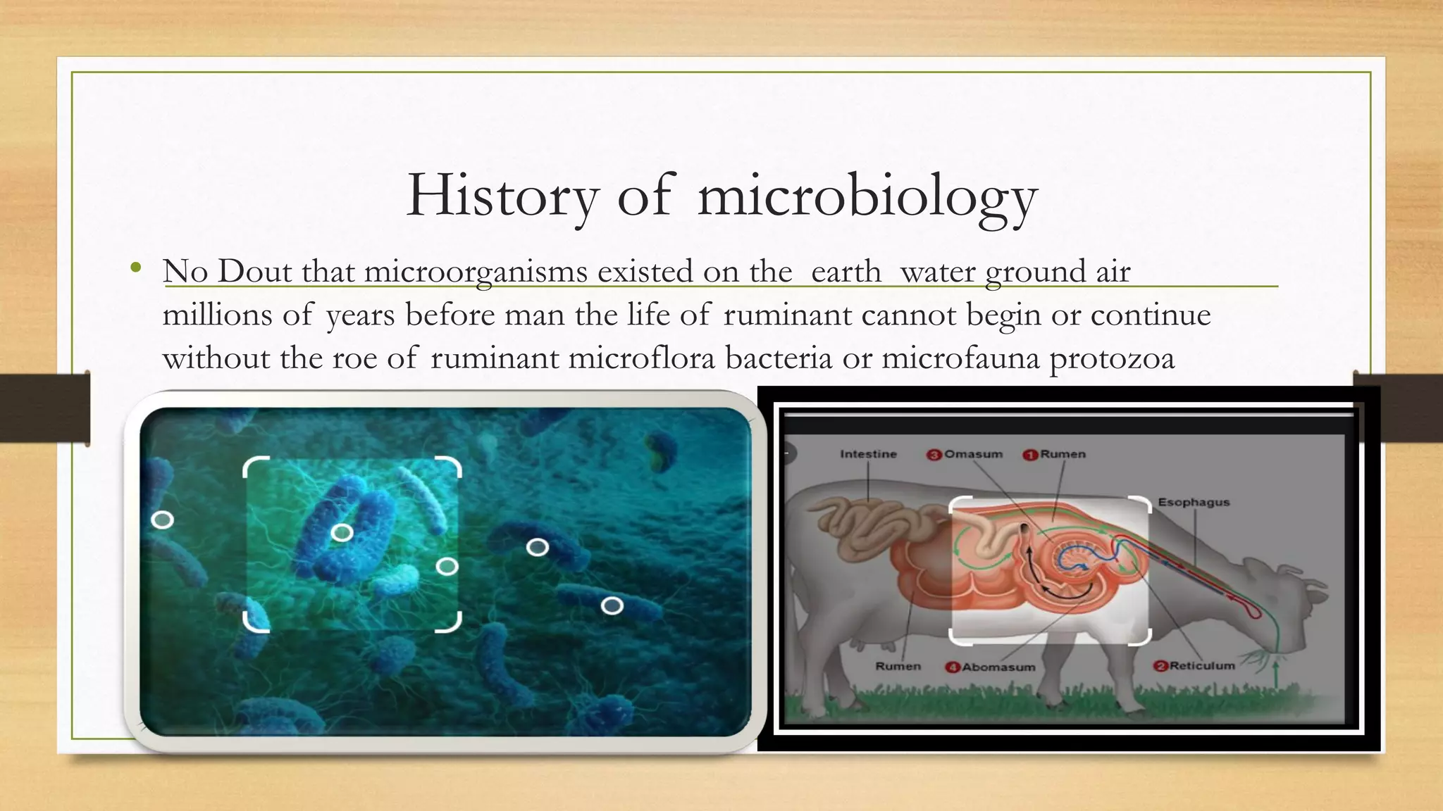 Microbiology introduction | PPT
