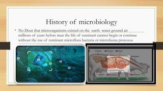 Microbiology introduction | PPT
