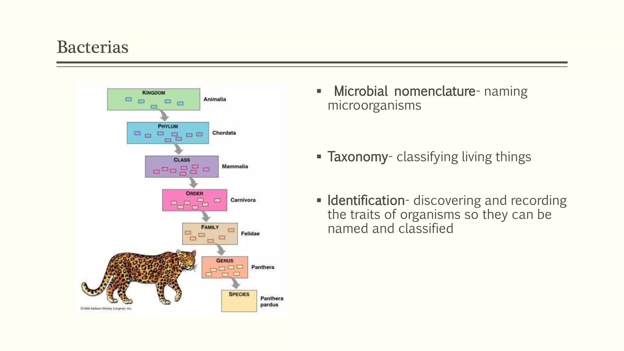 Microbiology in usmle 1 microbiology 1 | PPTX