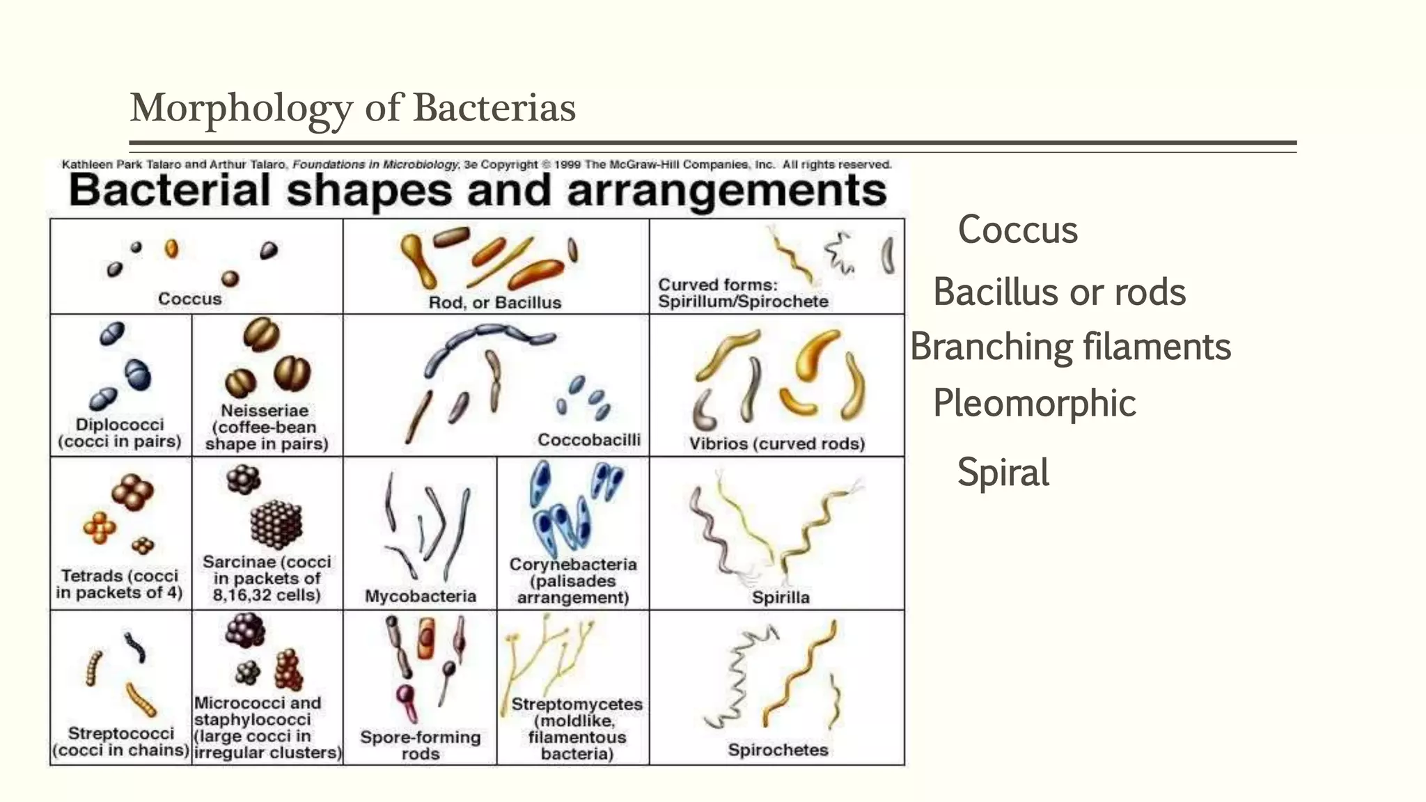 Microbiology in usmle 1 microbiology 1 | PPTX