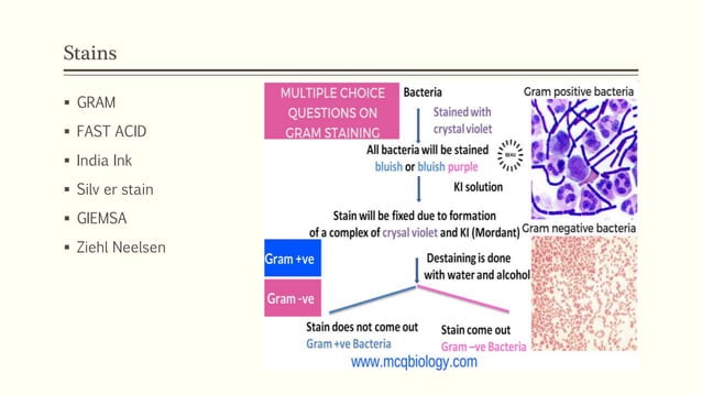 Microbiology in usmle 1 microbiology 1 | PPTX | Genetics | Science