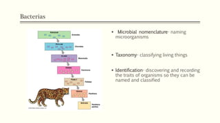 Microbiology in usmle 1 microbiology 1 | PPTX