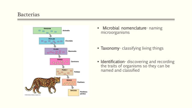 Microbiology in usmle 1 microbiology 1 | PPTX | Genetics | Science