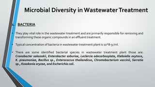 Microbiology in wastewater treatment | PPTX