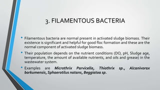 Microbiology in wastewater treatment | PPTX