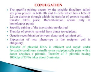 Bacterial Reproduction and Parasexuality | PPT