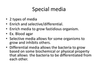 Microbiology lab 1 | PPTX