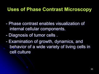 Microbiology lab 2 | PPT