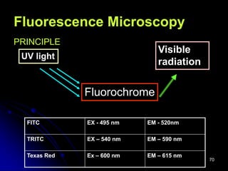 Microbiology lab 2 | PPT
