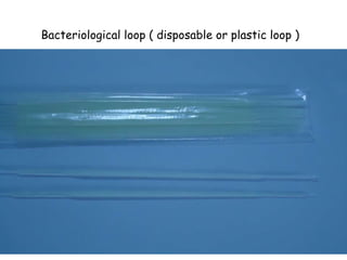 Microbiology lab 2 | PPTX