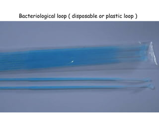 Microbiology lab 2 | PPTX