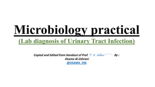 Microbiology (lab diagnosis of urinary tract infections) | PDF