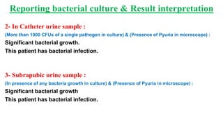 Microbiology (lab diagnosis of urinary tract infections) | PDF