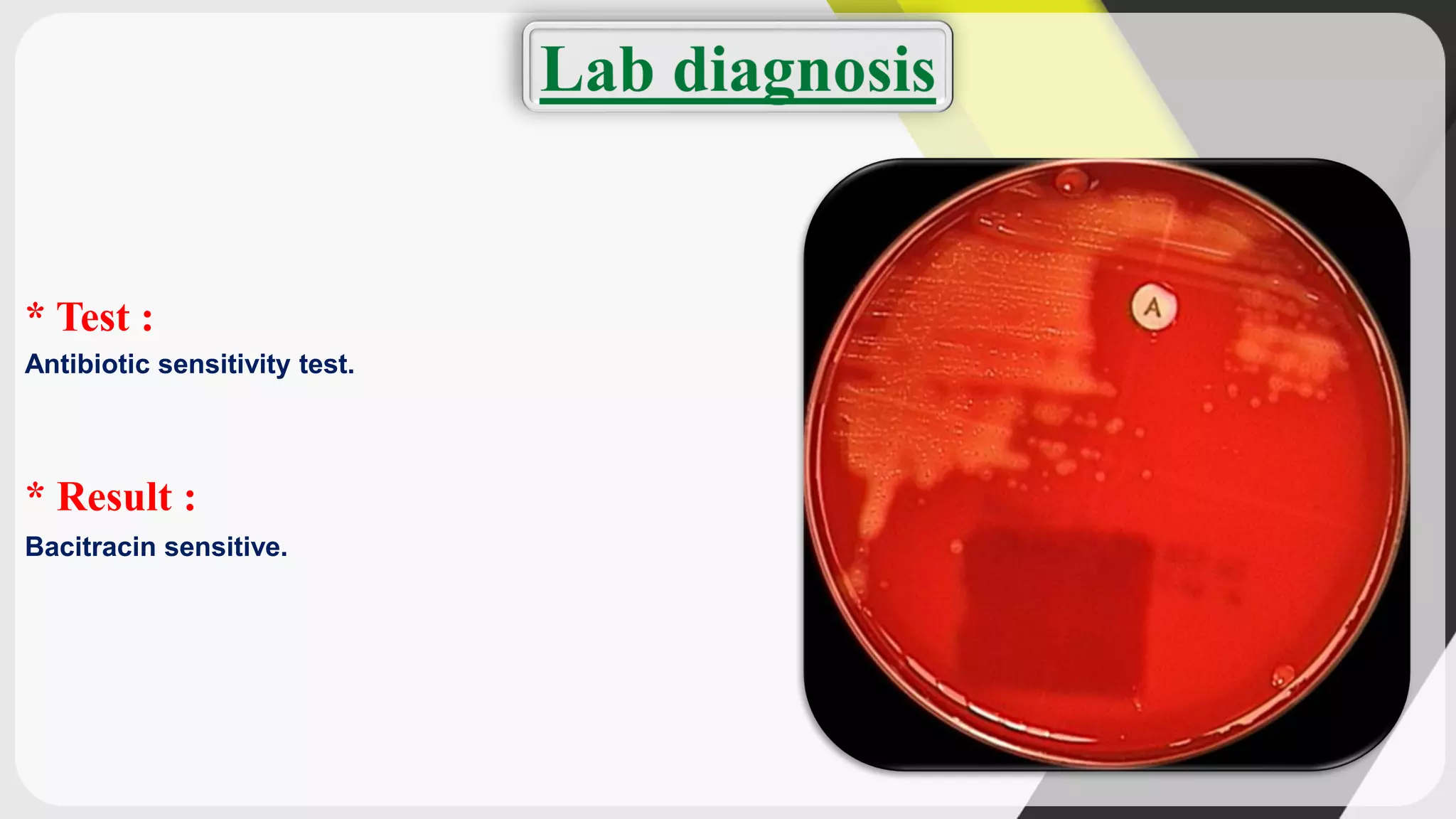 Microbiology (lab diagnosis result of fungal and bacterial skin ...