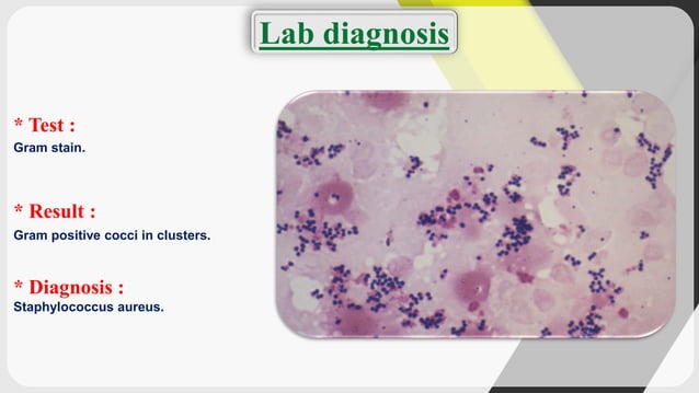 Microbiology (lab diagnosis result of fungal and bacterial skin ...