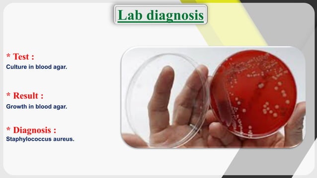 Microbiology (lab diagnosis result of fungal and bacterial skin ...