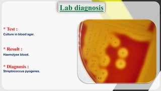 Microbiology (lab diagnosis result of fungal and bacterial skin ...