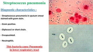 Microbiology (laboratory diagnosis of respiratory tract infections) | PDF