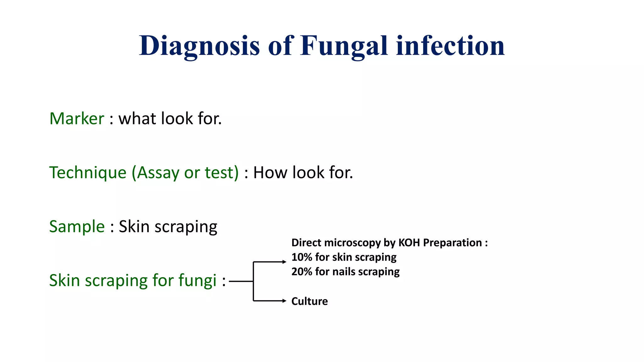 Microbiology (laboratory diagnosis of viral and fungal infection) | PDF ...
