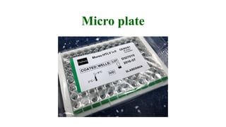 Microbiology (laboratory diagnosis of viral and fungal infection) | PDF ...