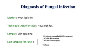 Microbiology (laboratory diagnosis of viral and fungal infection) | PDF