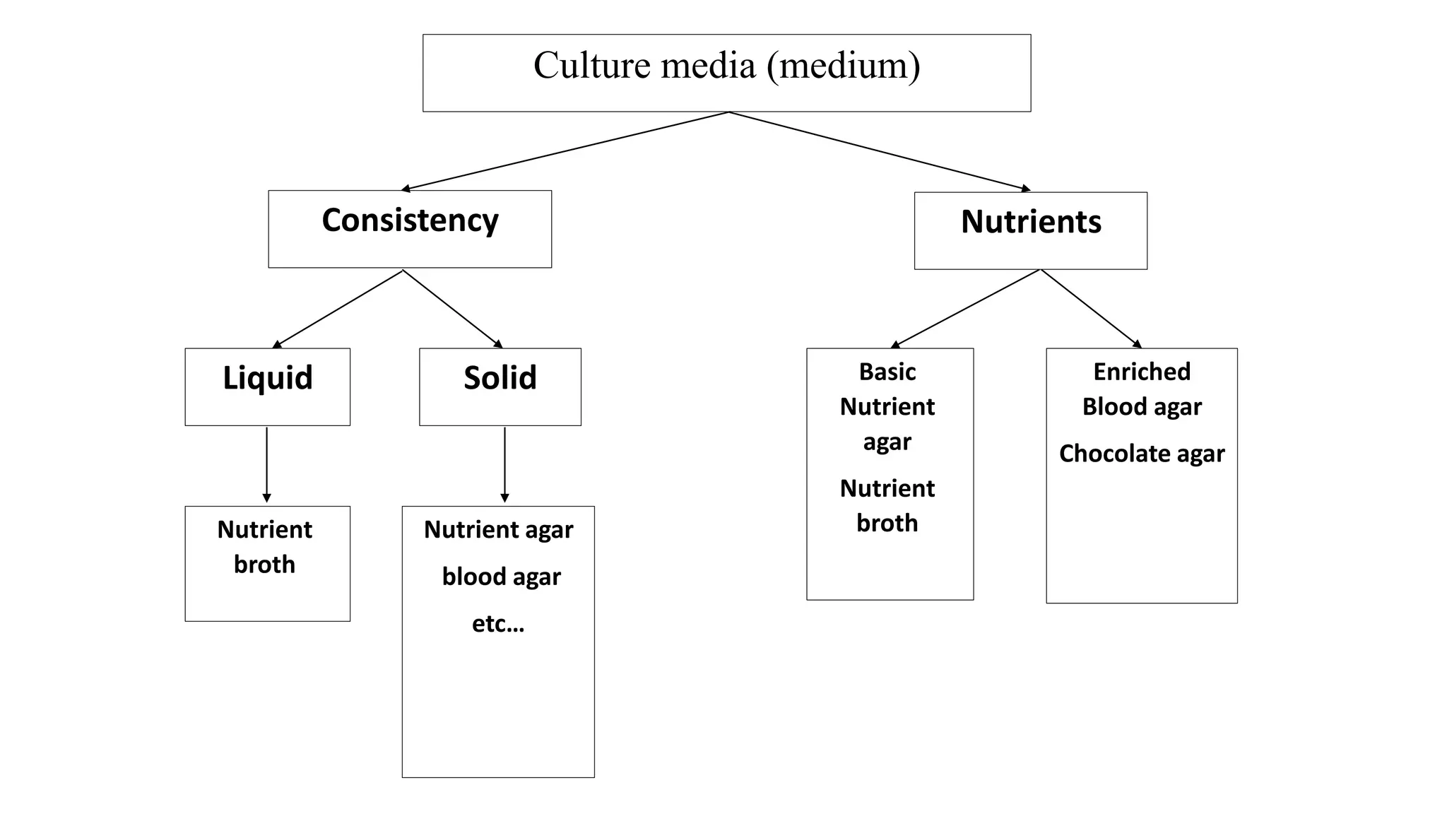 Microbiology (laboratory media and culture) | PDF