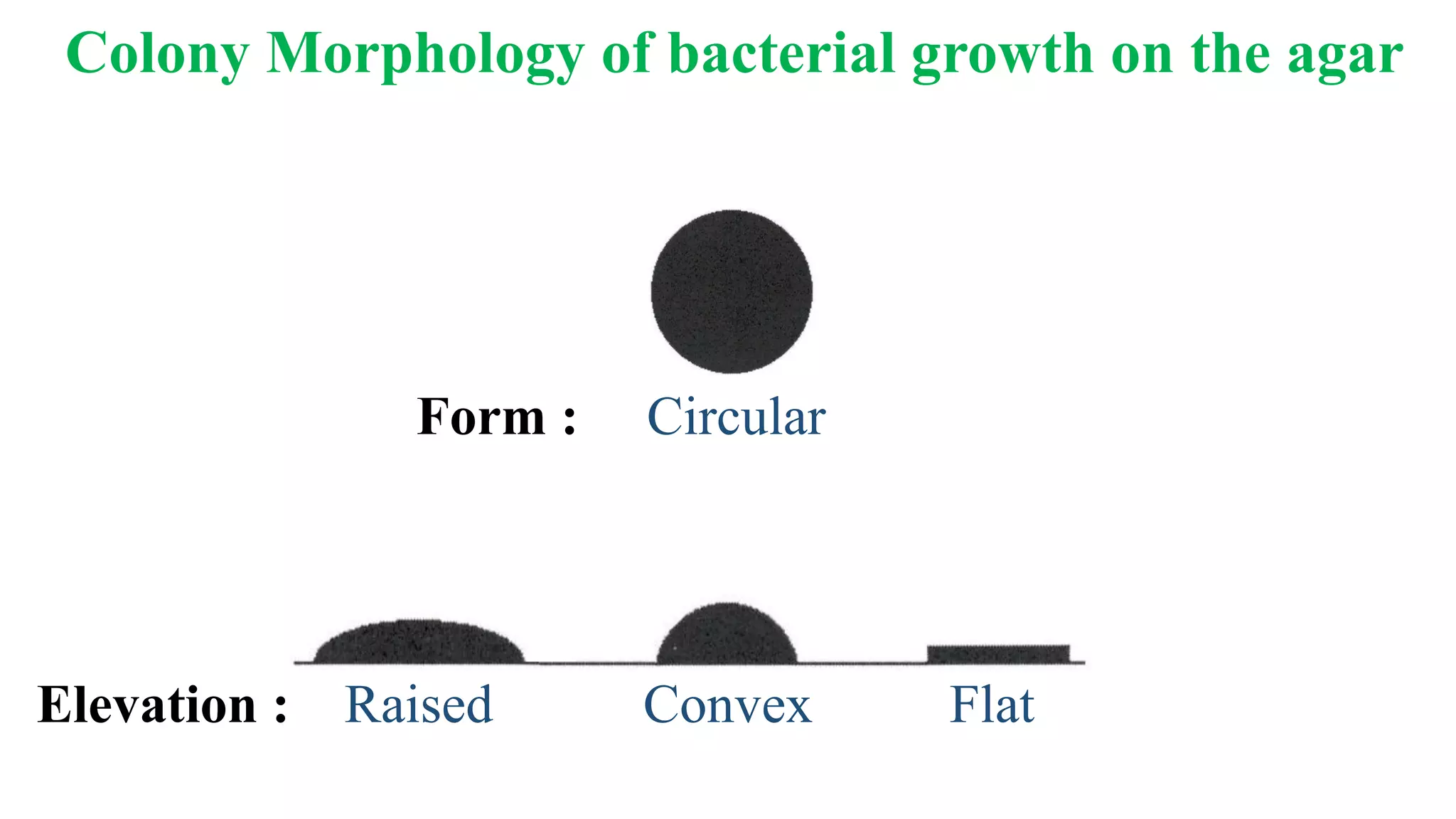 Microbiology (laboratory media and culture) | PDF