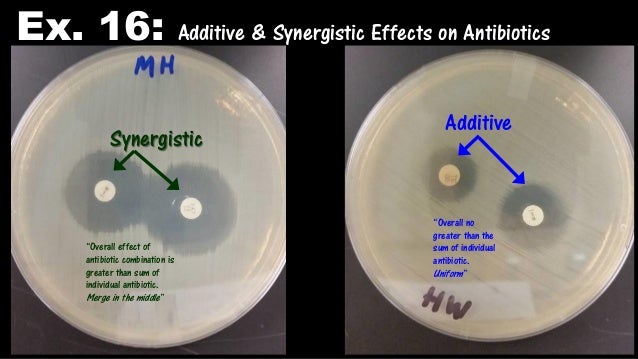 Ilovemicrobiology!!!!!! Ilana kovach