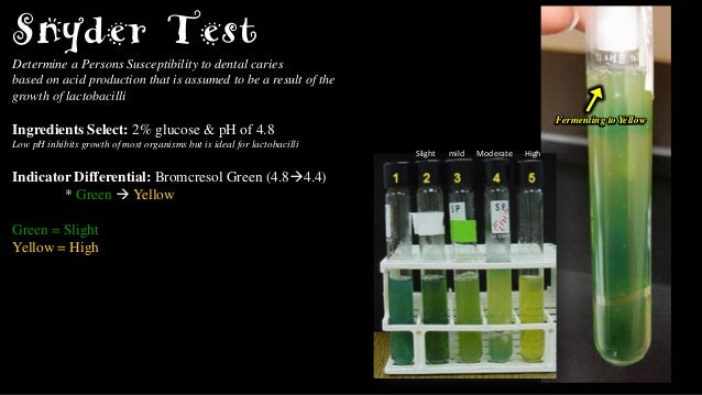 Positive Snyder Test Interpretation Of Caries Activity On The Basis Of