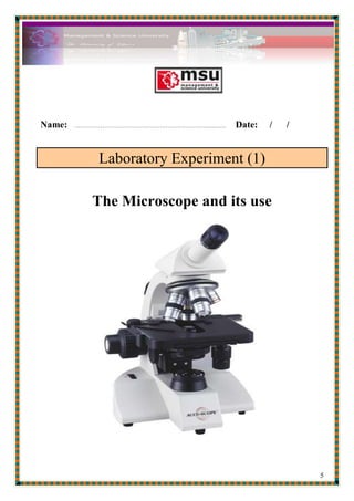 Microbiology (lab report 1 format) | DOCX