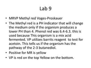 Microbiology lab review | PPT
