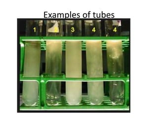 Microbiology lab review | PPT