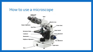 Microbiology lab session 1 Introduction - Copy (1).pdf