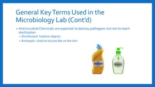 Microbiology lab session 1 Introduction - Copy (1).pdf