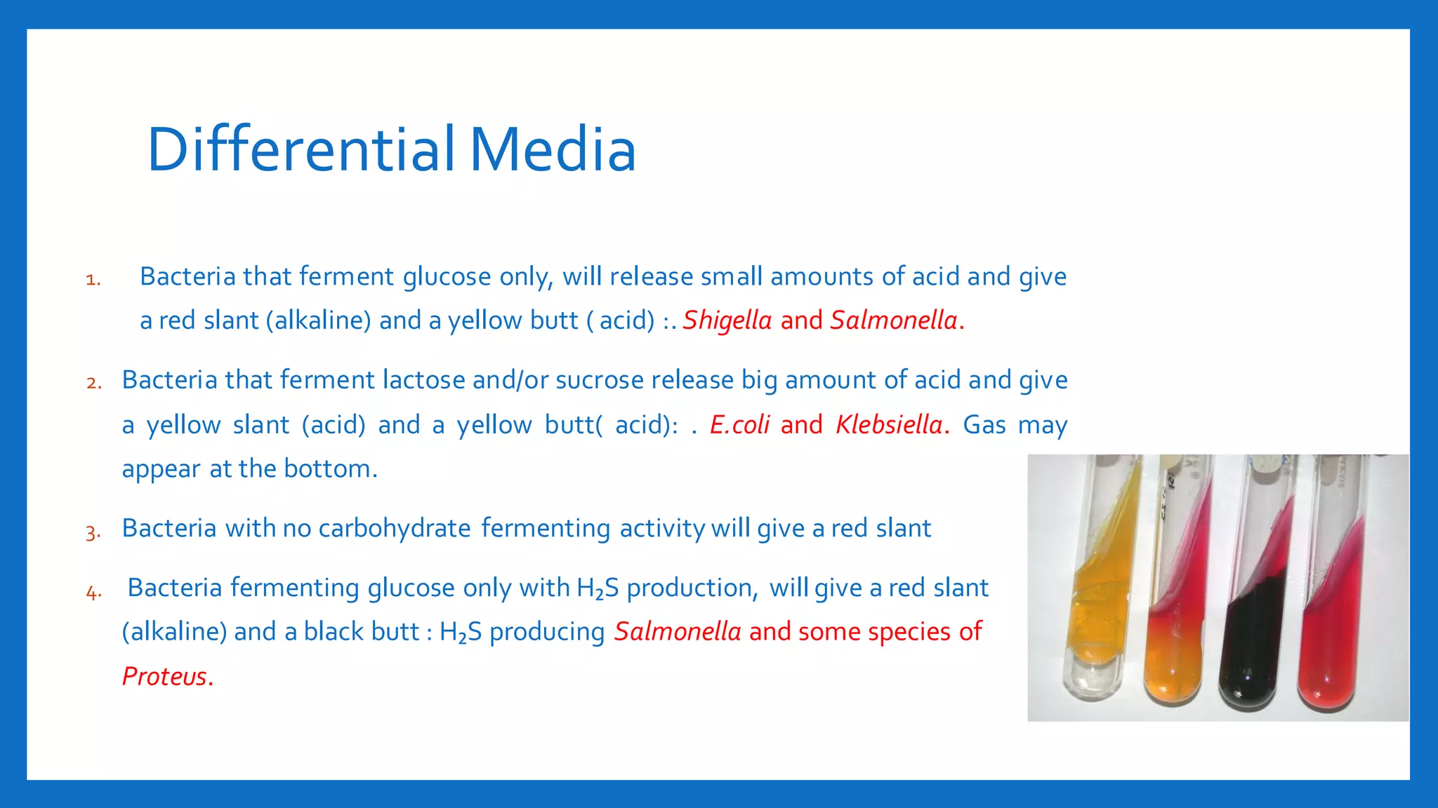 Microbiology lab session 3 Types of Media Used in Microbiology Lab.pdf