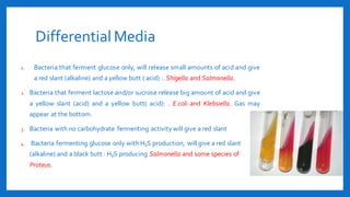 Microbiology lab session 3 Types of Media Used in Microbiology Lab.pdf