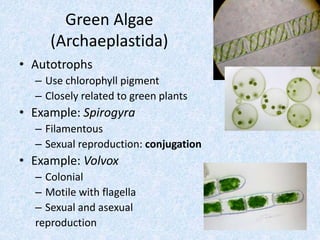Lab 2: Microbiology | PPTX