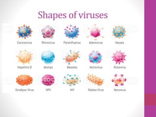 Lecture 10:- The viruses | PPT