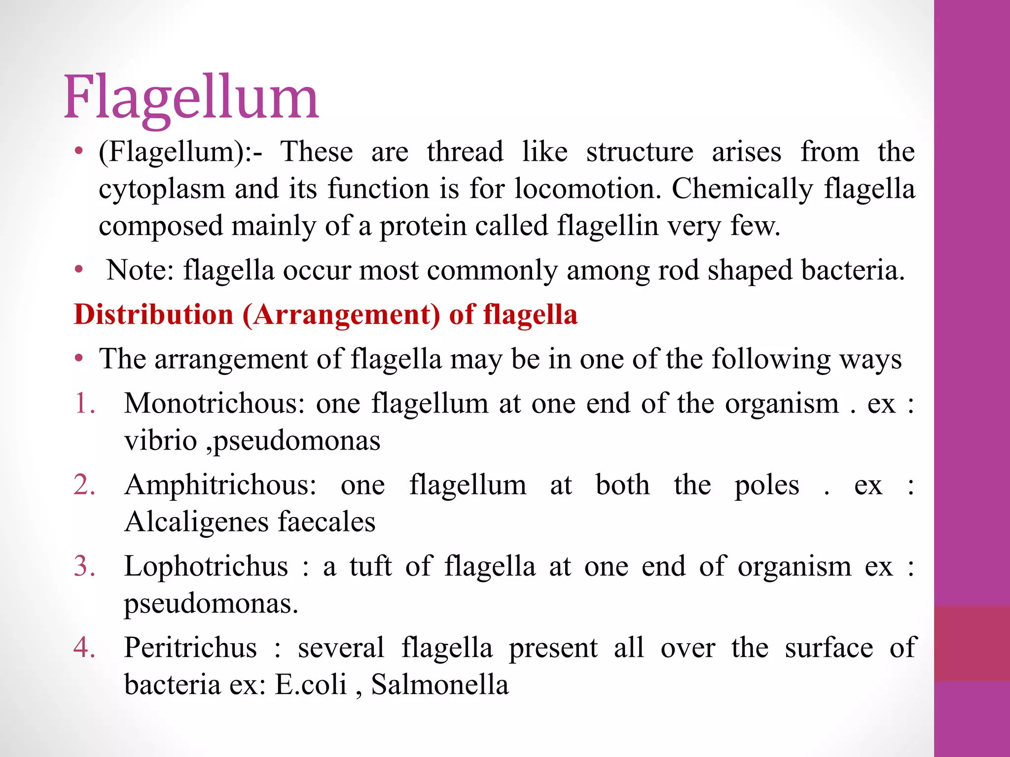 Lecture 2:- Bacterial morphology , bacterial cell structure | PPTX