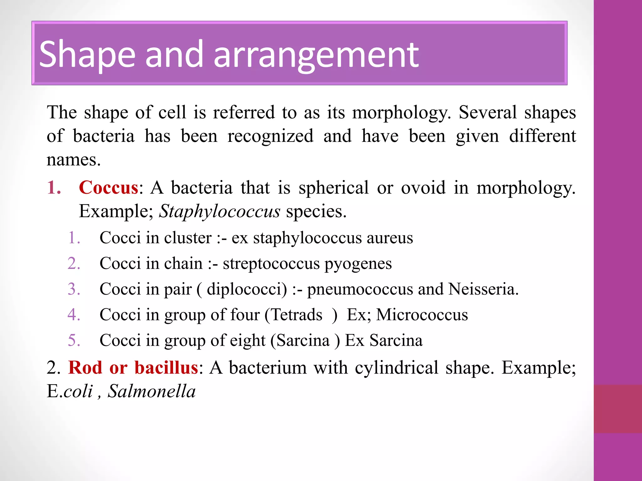 Lecture 2:- Bacterial morphology , bacterial cell structure | PPTX
